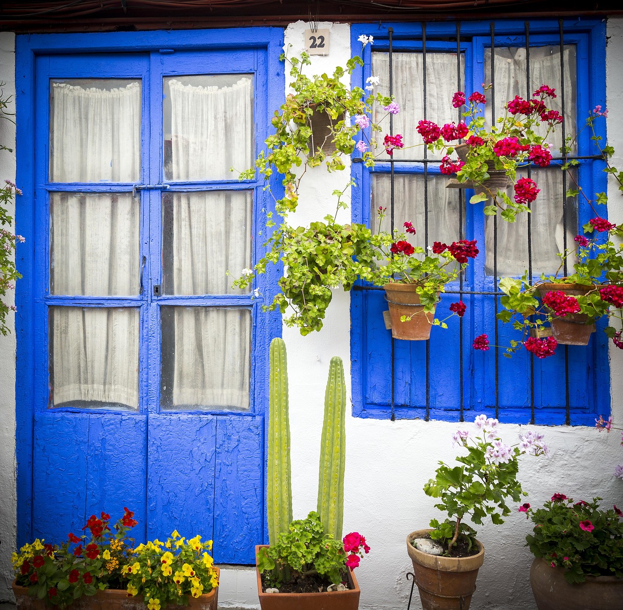 Córdoba patio with flowers