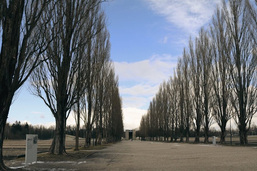 Tree-lined path at the Dachau memorial grounds