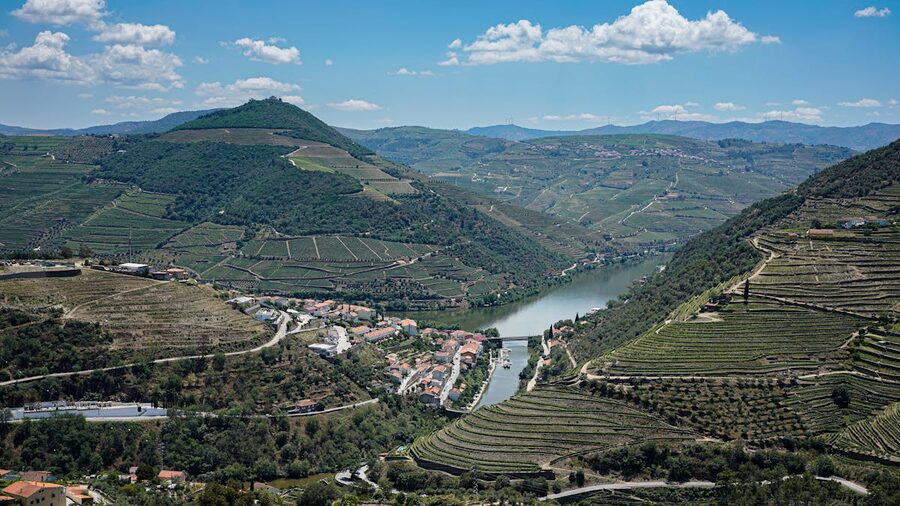 Aerial view of the Douro River cutting through vineyard-covered hills