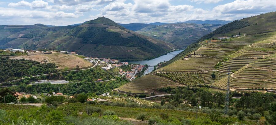 Wide aerial view of the Douro Valley wine region