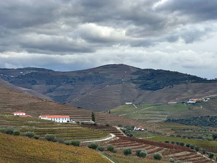 Douro Valley terraces under cloudy skies