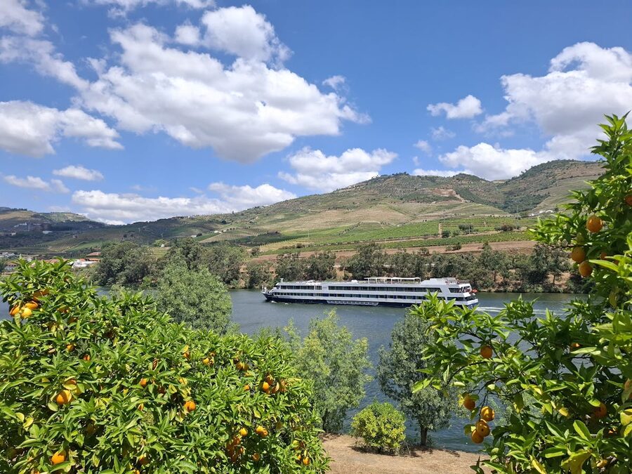 River cruise ship on the Douro River between vineyard-covered hills