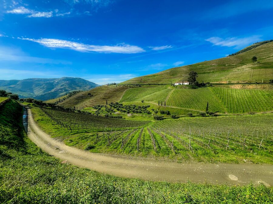 View from São Leonardo de Galafura over the Douro Valley