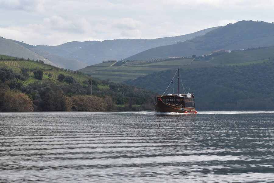Riverboat passing through the Douro Valley vineyards