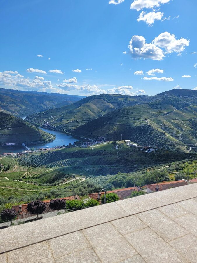 Terraced vineyard walls rising from the Douro River