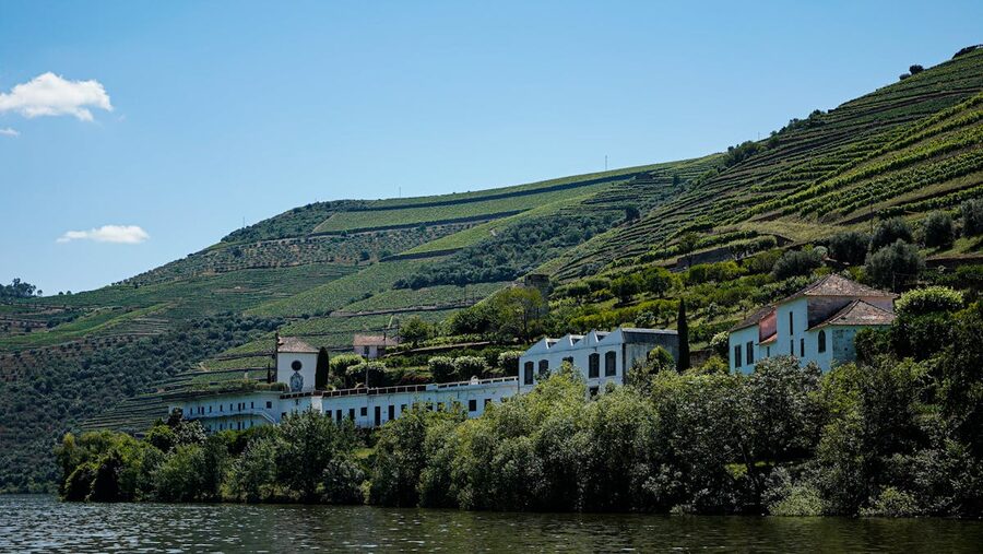 Green hillsides along the Douro Valley in spring