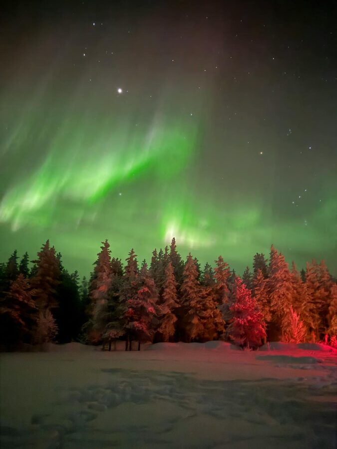 Aurora borealis glowing above a snow-covered forest in Lapland