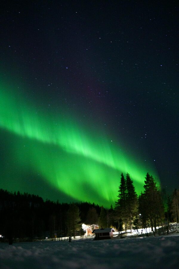 Green aurora illuminating a snowy Lapland forest at night