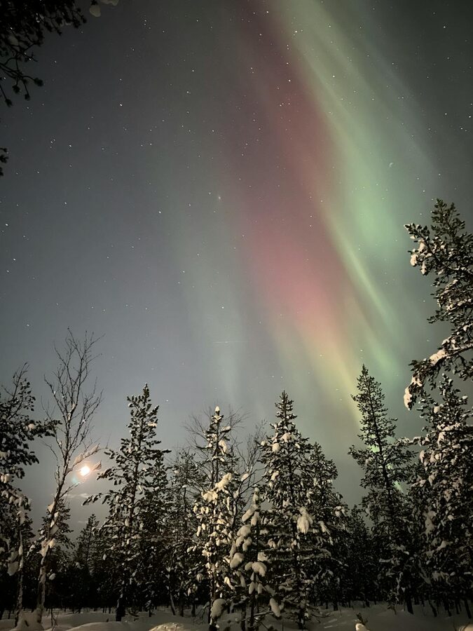 Green aurora borealis over snowy forest in Ylläsjärvi, Finland