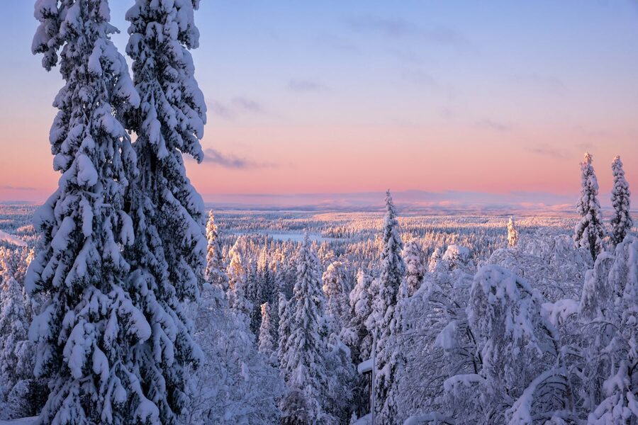 Sunset over a snowy forest in Ruka, Finland