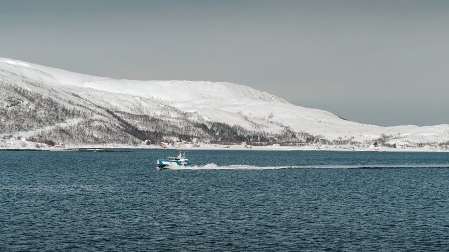 Fjord landscape with blue water and mountains