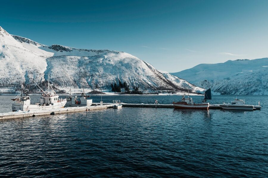 Arctic fjord with mountains and winter light