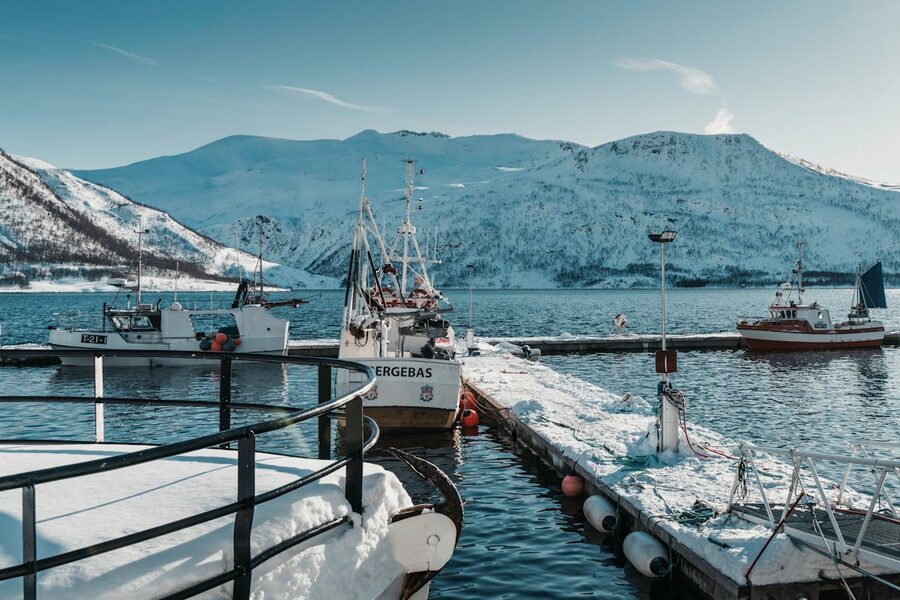 Norwegian fjord panorama