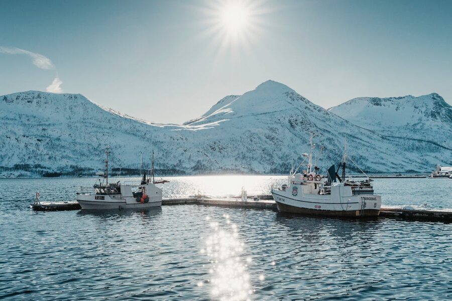 Fjord scenery with dramatic mountains