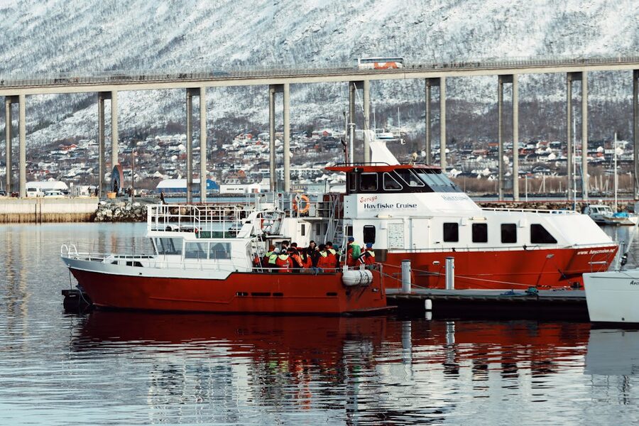 Norwegian coastal village with mountains