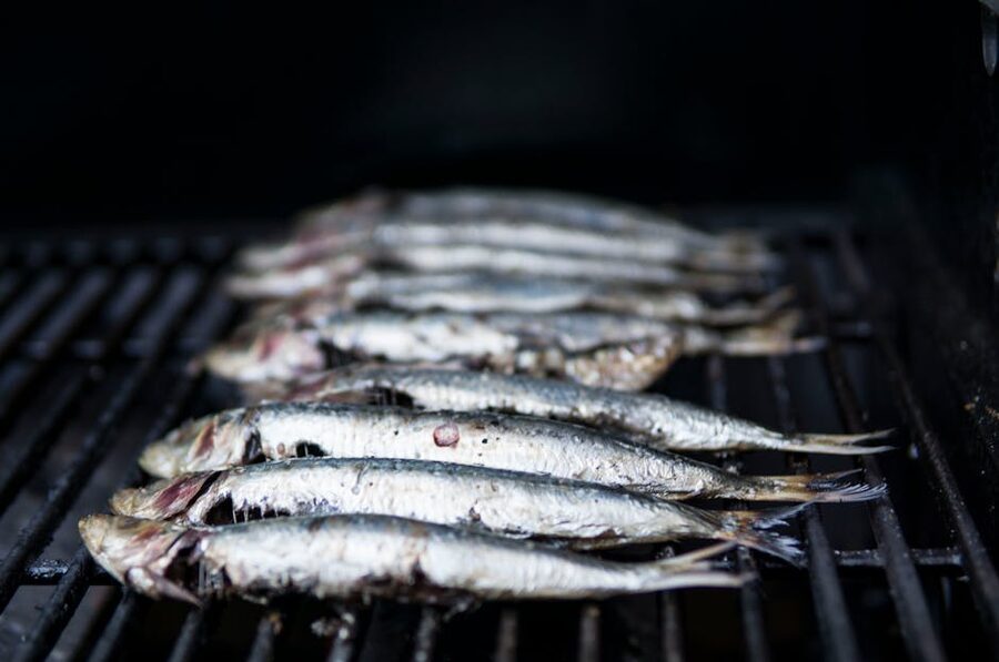 Grilled sardines Portuguese seafood