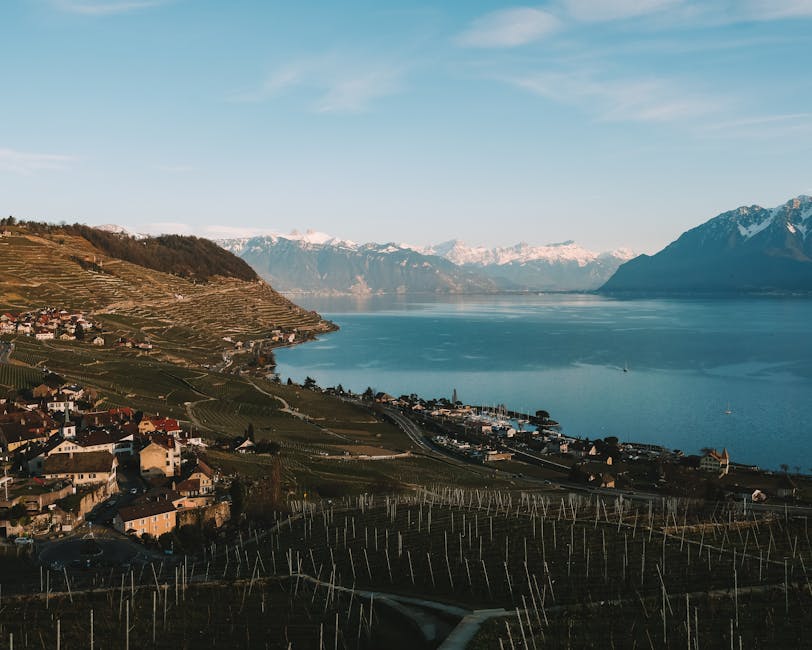 Lavaux vineyard terraces sloping down to Lake Geneva with the Alps and lake visible beyond