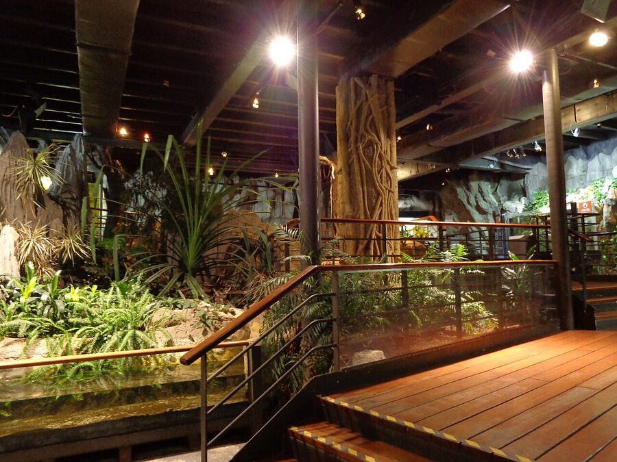 Genoa Aquarium interior tank view