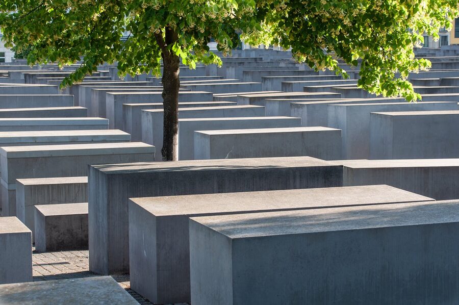 Holocaust Memorial stelae with a single tree standing in contrast to the concrete blocks
