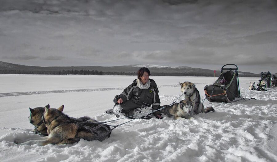 Husky dogs pulling sled through snow
