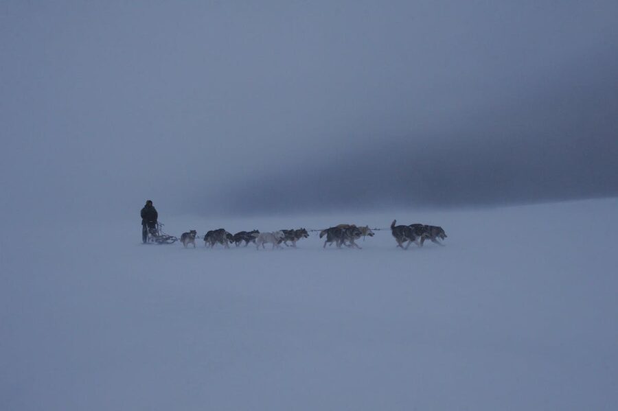 Husky sled team on Arctic trail