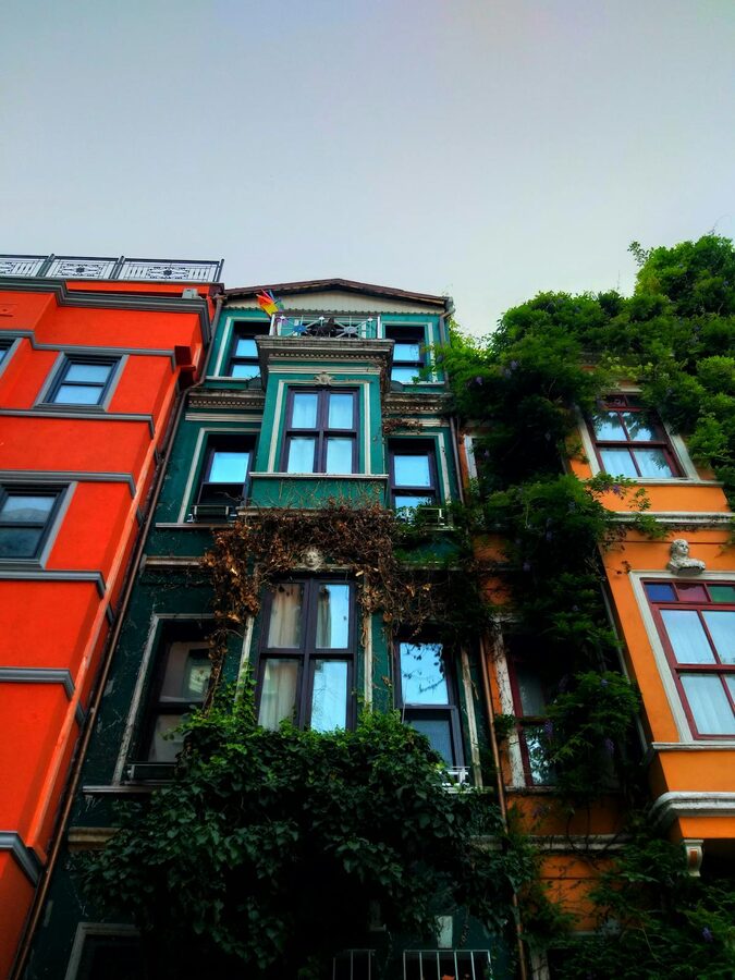 Colourful historic buildings with ivy in Istanbul's Fener Balat district
