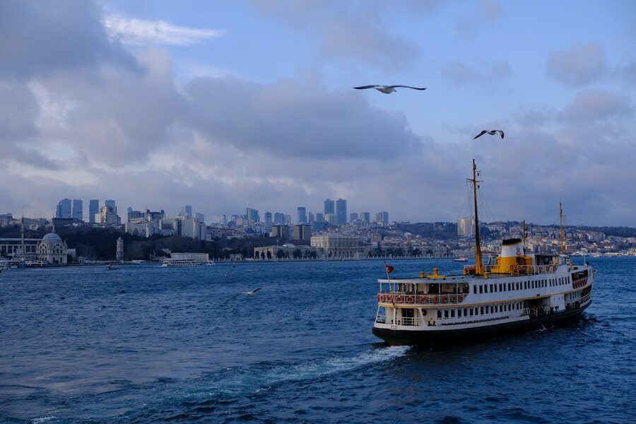 Ferry on the Bosphorus with seagulls in Istanbul