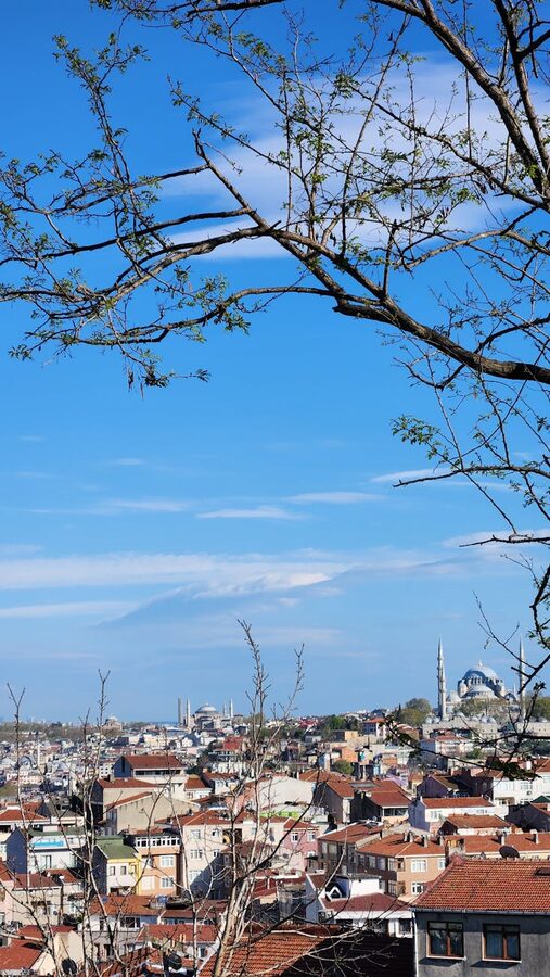 Panoramic view of Suleymaniye Mosque and Istanbul cityscape