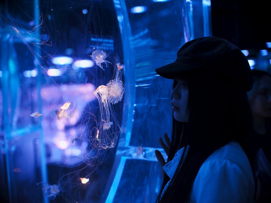 Illuminated jellyfish exhibit