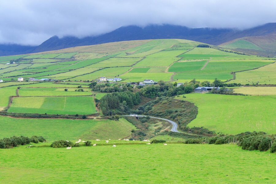 Green fields and rolling hills in Dingle, County Kerry