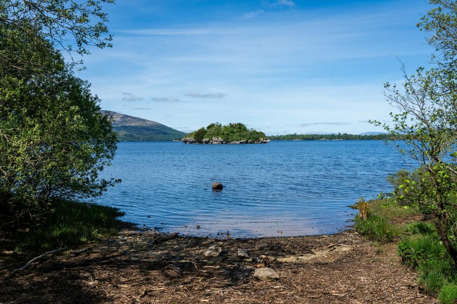 Lough Leane in Killarney National Park framed by trees