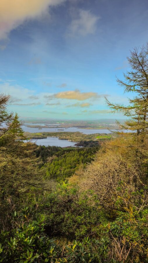 Killarney National Park paths through green woodland