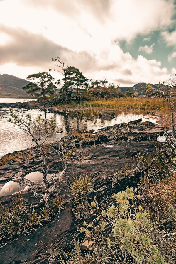 Killarney National Park with lake and native vegetation