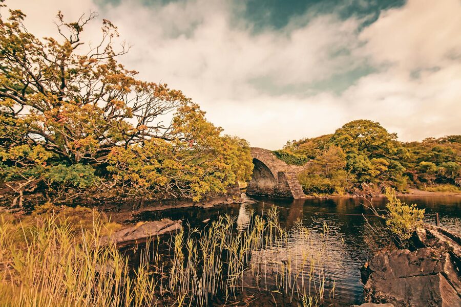 Stone bridge in Killarney National Park with green vegetation