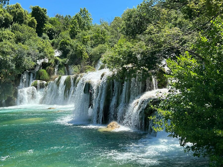 Waterfall flowing through dense green forest