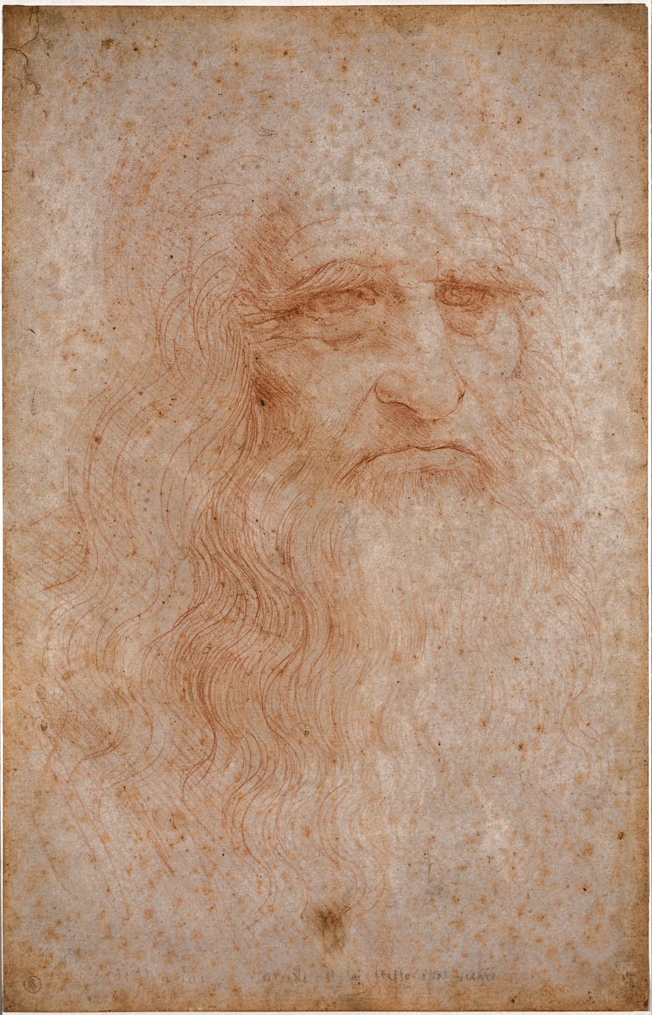 Leonardo da Vinci presumed self-portrait