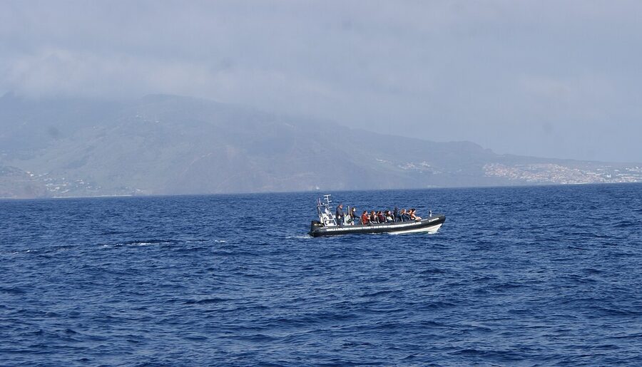 Madeira Atlantic whale watching boat at sea