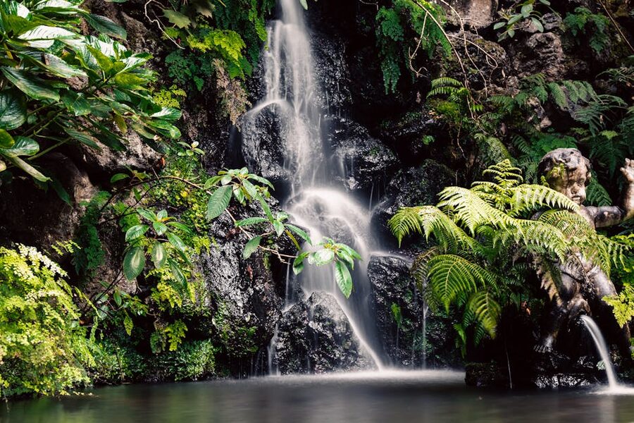 Waterfall in Madeira laurel forest
