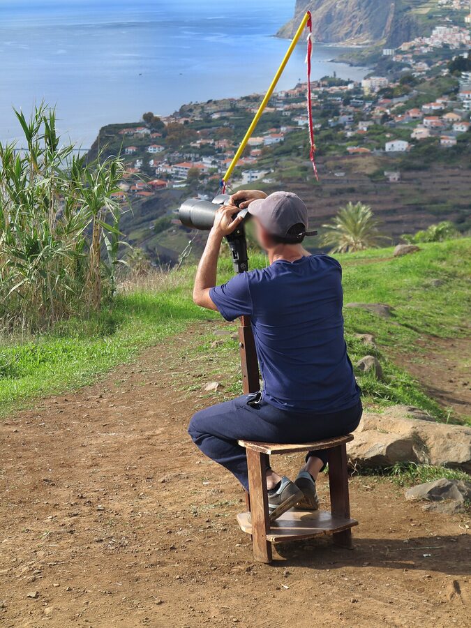 Madeira whale watching observer on cliff