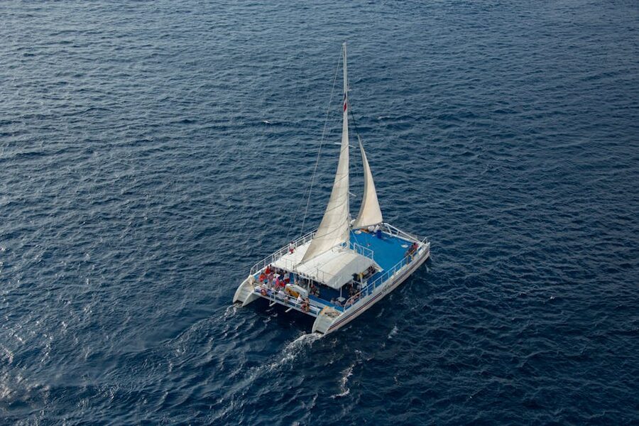 Catamaran aerial view sailing