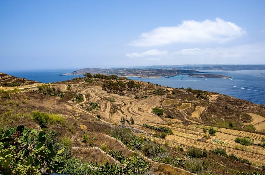 Malta's terraced agricultural fields meeting the blue Mediterranean coastline
