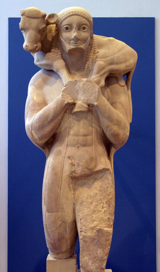 The Moschophoros or Calf Bearer statue at the Acropolis Museum Athens