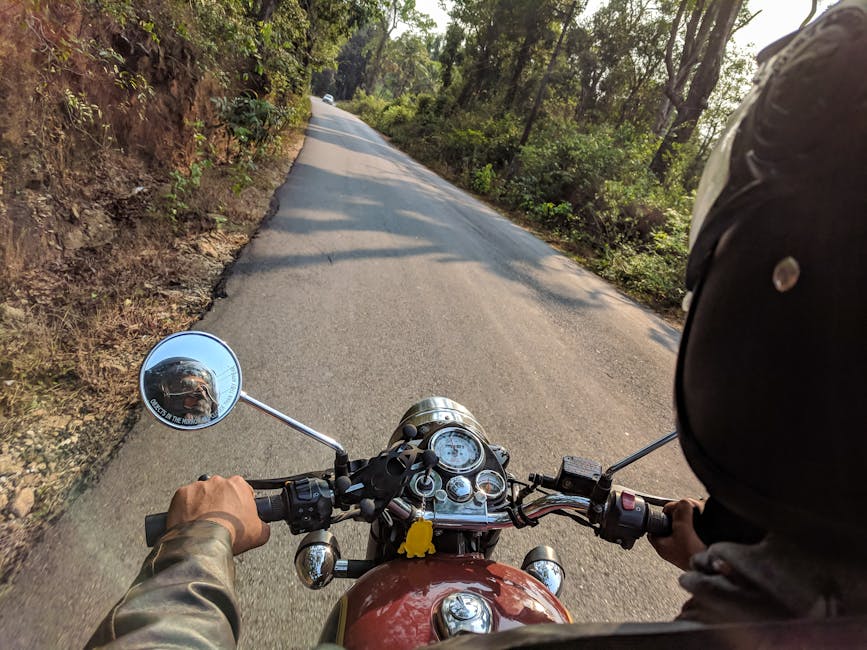 Motorcyclist on scenic forest road