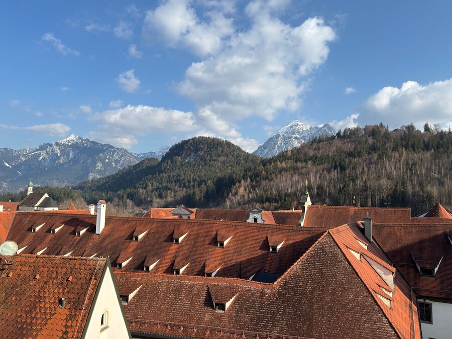 Bavarian rooftops with snow-capped Alps in the background under bright sky