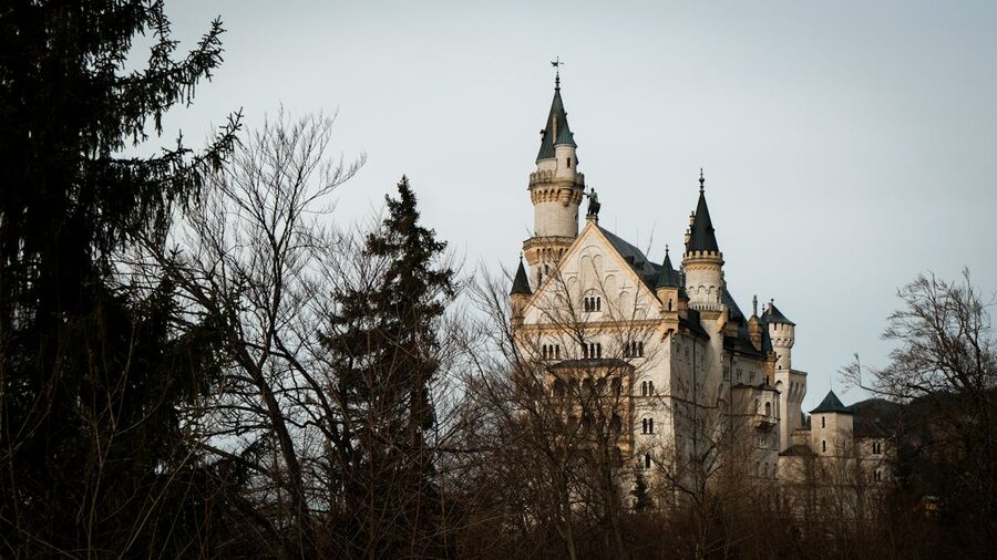 Neuschwanstein Castle surrounded by bare winter trees showing fairytale architecture