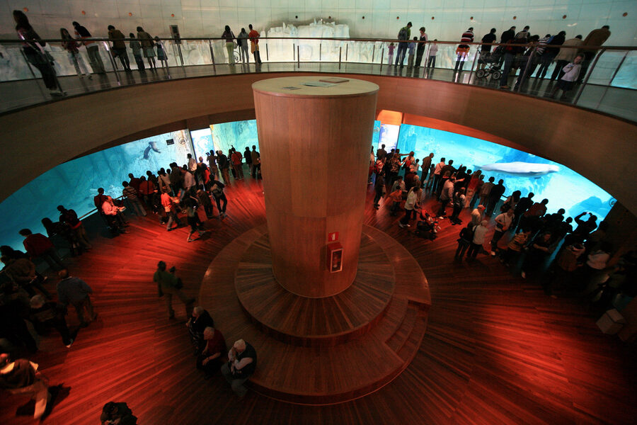 Arctic pavilion interior at Oceanografic Valencia