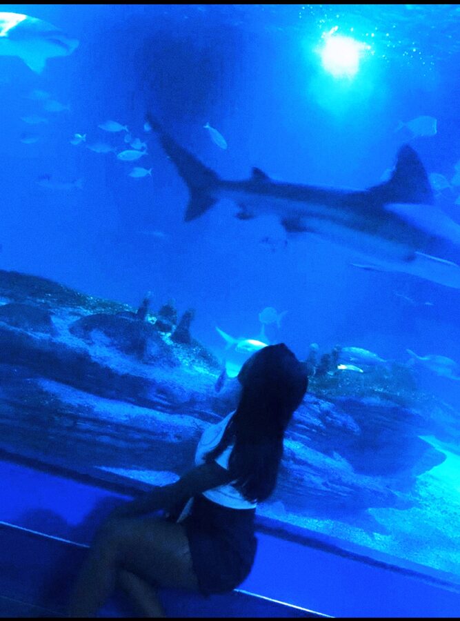Visitor walking through Oceanografic Valencia interior tunnel