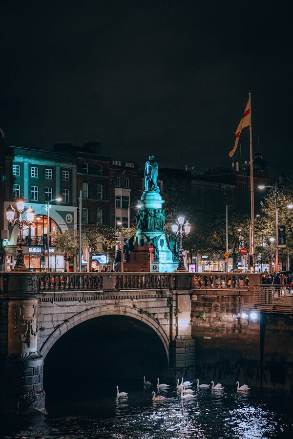 Swans near O'Connell Bridge on the River Liffey at night