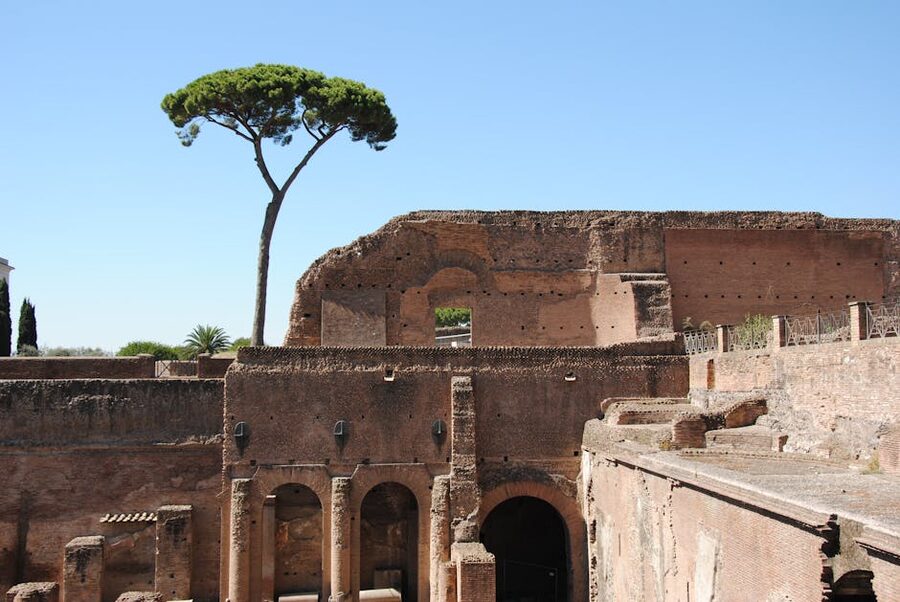 Palatine Hill ruins with cypress tree under clear sky
