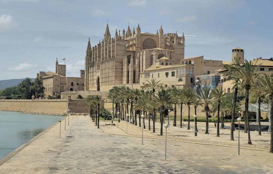 Palma Cathedral with palm trees in the square